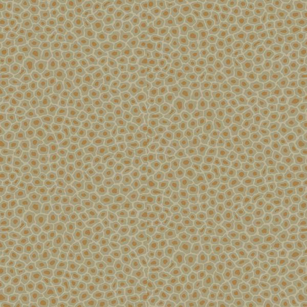 Zulu Border | Wallpaper | Enquire Today | Artisan
