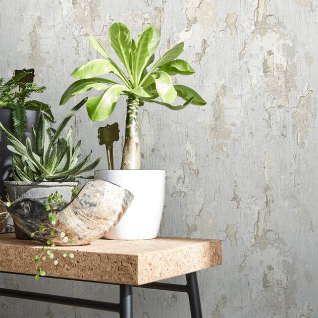 Antique painted wall | Koziel | Wallpaper | Artisan